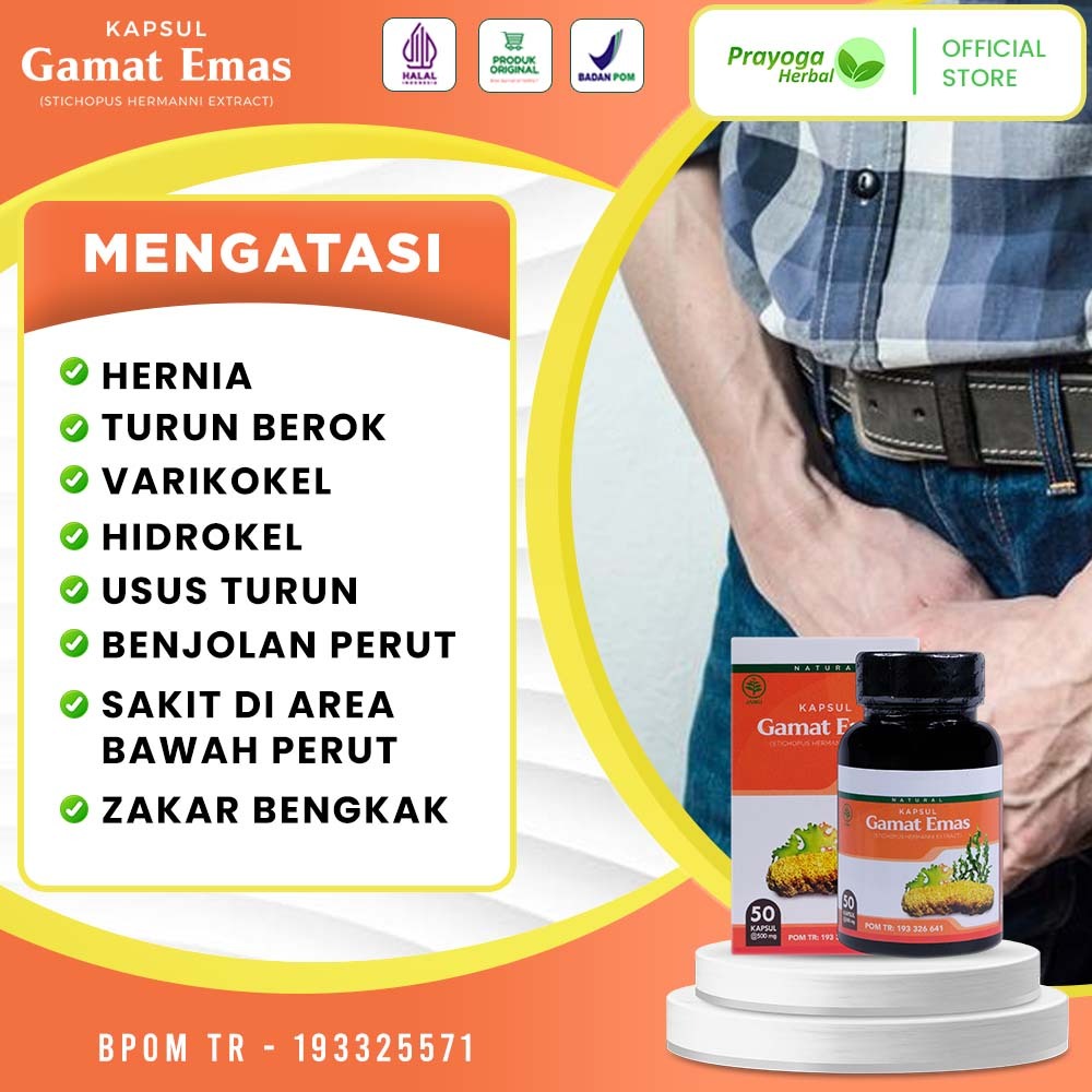 Jual Obat Hernia Turun Berok Varikokel Buah Zakar Bengkak Sebelah ...