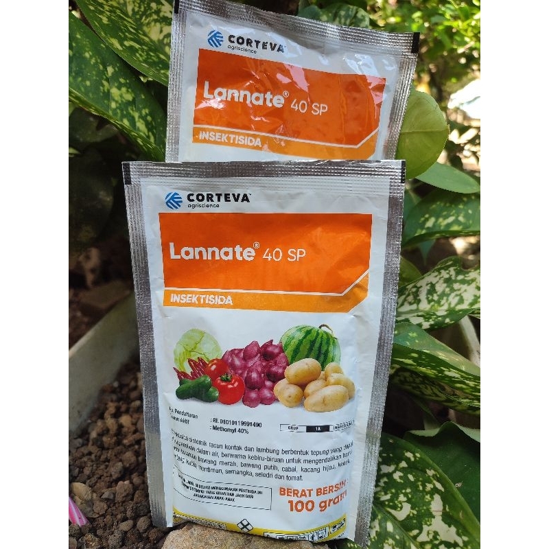 Jual insektisida LANNATE 40 WP 100 GRAM | Shopee Indonesia