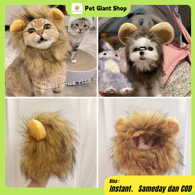Jual kostum kucing anjing model wig rambut singa topi cat lion hair ...