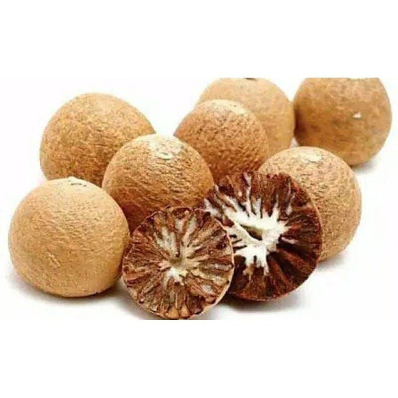 Jual Biji buah pinang tua kering 1 kg | Shopee Indonesia