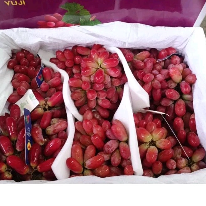 Jual Anggur Red Muscat fresh Pack | Shopee Indonesia