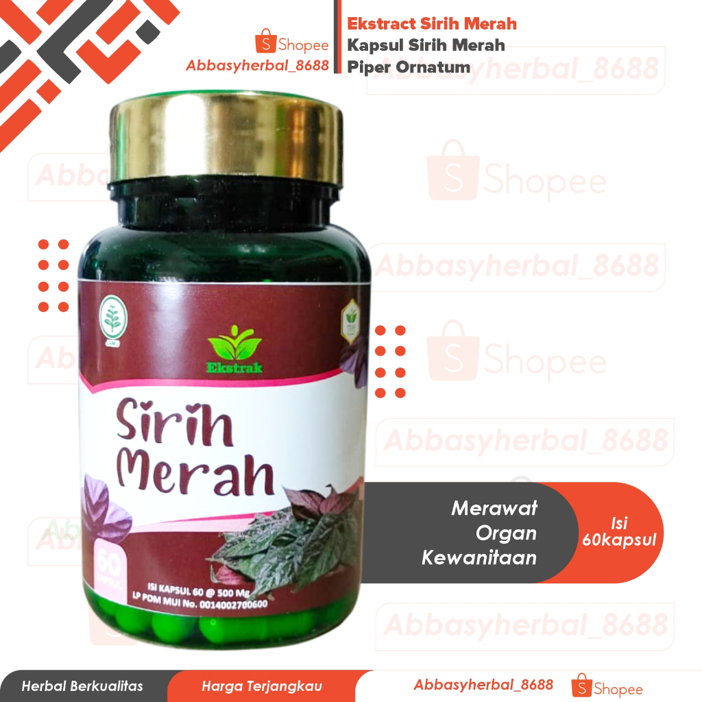 Jual Abbasy Herbal_Kapsul Sirih Merah / Daun Sirih Merah Therapy ...