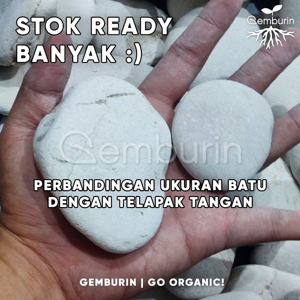 Jual Batu Koral Putih 19-20 Kg SEDANG KARUNGAN / Batu Putih Kupang Hias ...