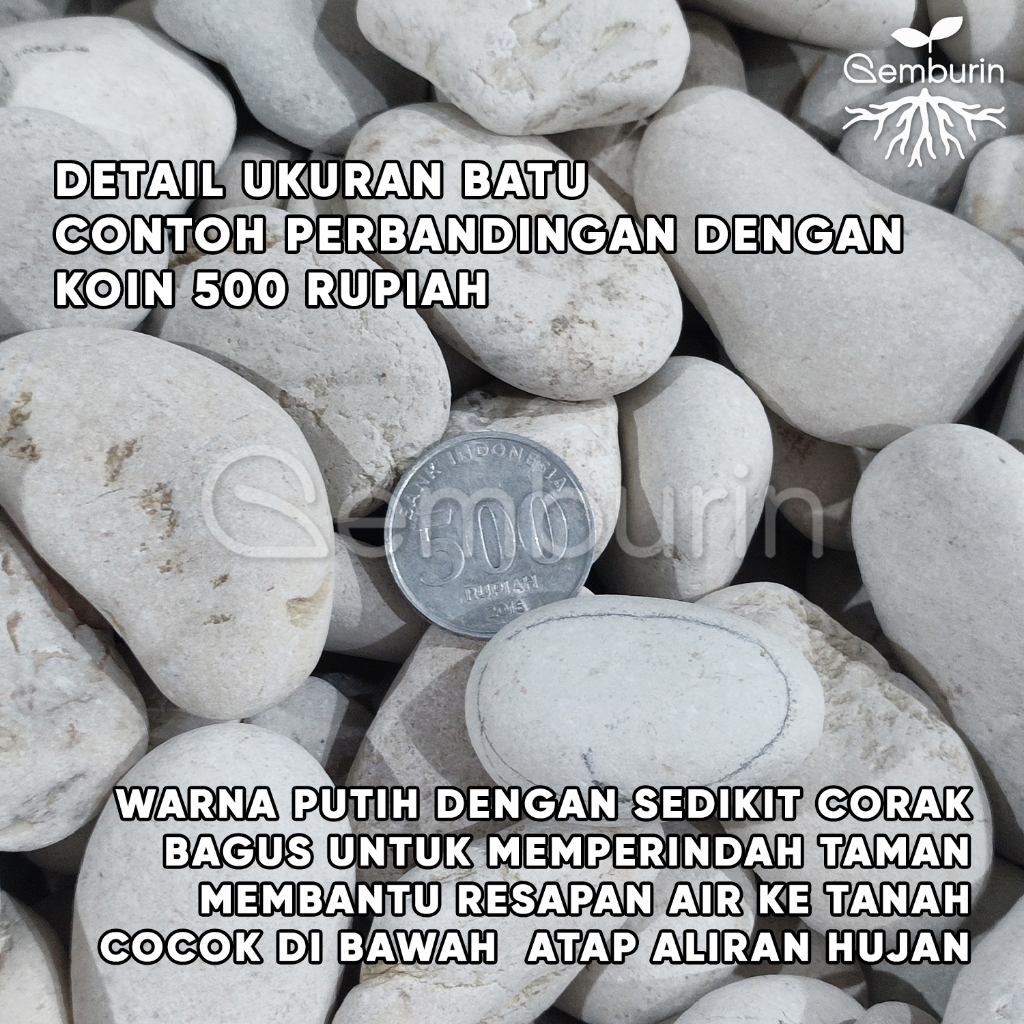 Jual Batu Koral Putih 19-20 Kg SEDANG KARUNGAN / Batu Putih Kupang Hias ...