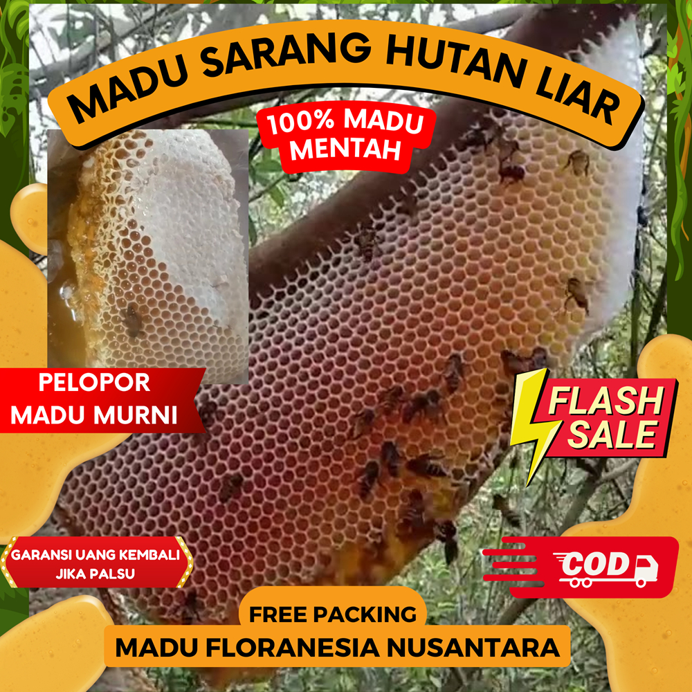Jual SARANG MADU ASLI MURNI 500 GRAM KUALITAS PREMIUM SARANG MADU LEBAH LIAR HUTAN APIS DORSATA ...