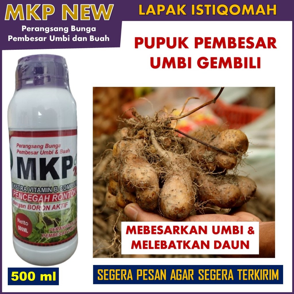 Jual Pupuk Organik Terbaik Umbi-Umbian MKP Cair New Pelebat Umbi ...