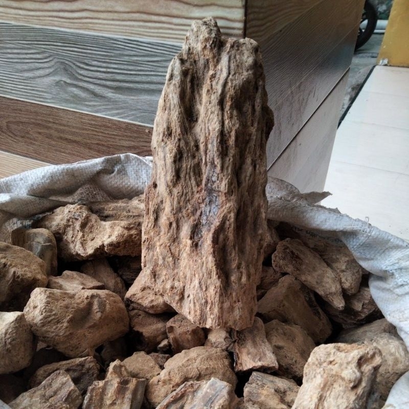 Jual buhur Getah damar kayu gaharu kalimantan kemasan 500gram | Shopee ...