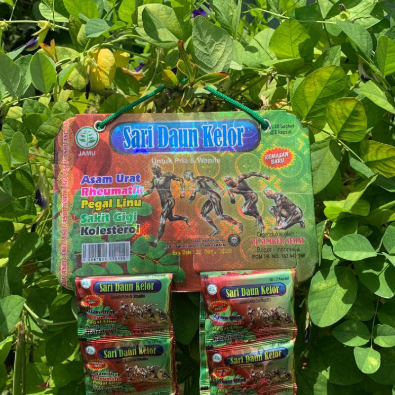 Jual Kapsul Sari Daun Kelor Obat Herbal Asam Urat Original Berkhasiat ...