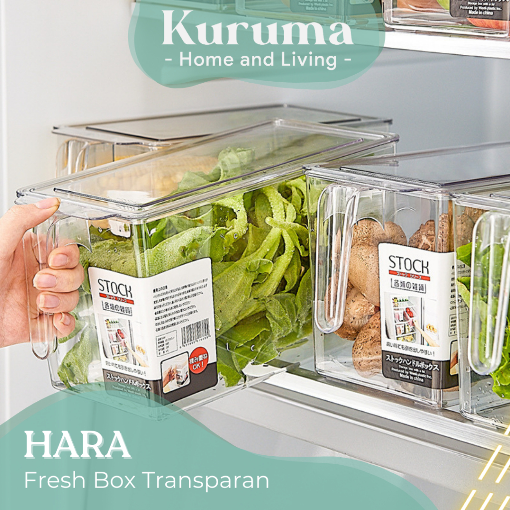 Jual KURUMA HARA Organiser Fresh Box Transparan Wadah Tingkat Makanan ...