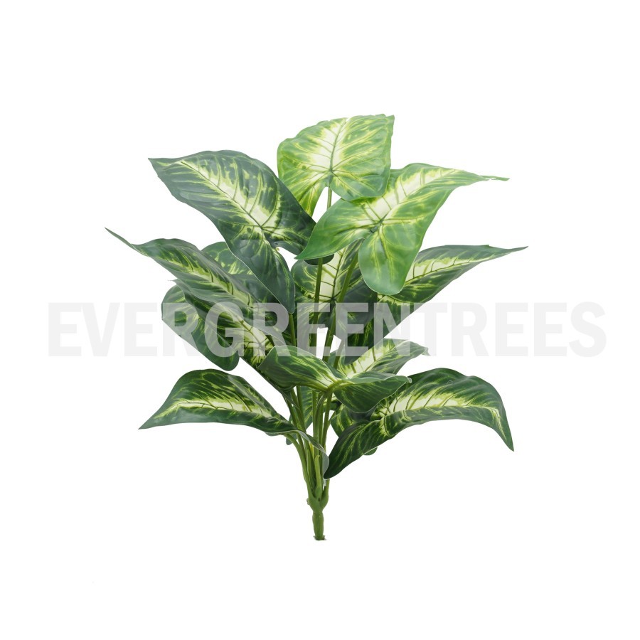 Jual DAUN HIAS/ DAUN PALSU/ DAUN ARTIFICIAL/ DAUN IMPORT/ WHITE TARO ...