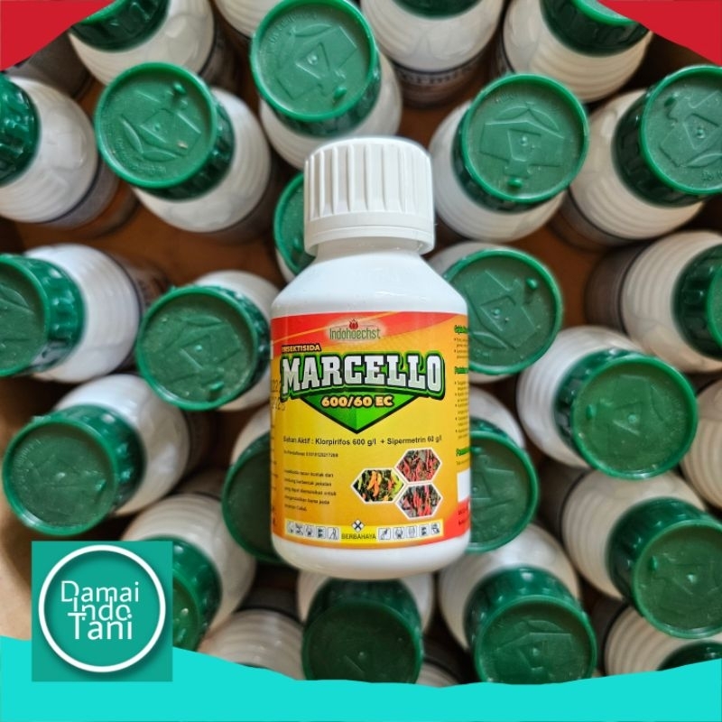 Jual MARCELLO 600/60EC ISI 100 ML, INSEKTISIDA RACUN KONTAK DAN LAMBUNG ...