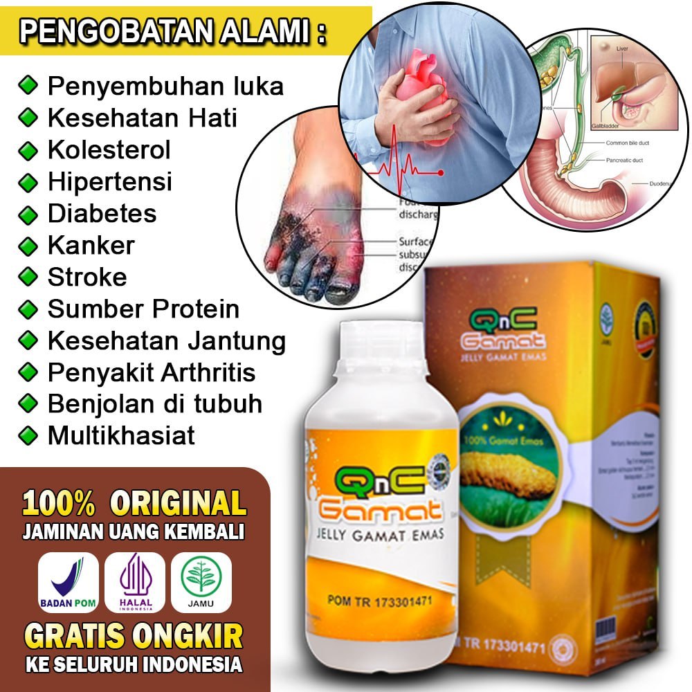 Jual QnC Jelly Gamat Asli Original Herbal Multikhasiat Obat Diabetes ...
