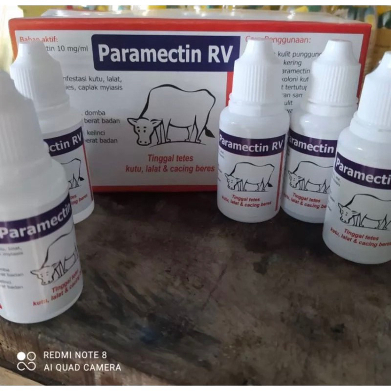 Jual PARAMECTIN RV OBAT KUTU SCABIES CAPALAK netto 20ml | Shopee Indonesia