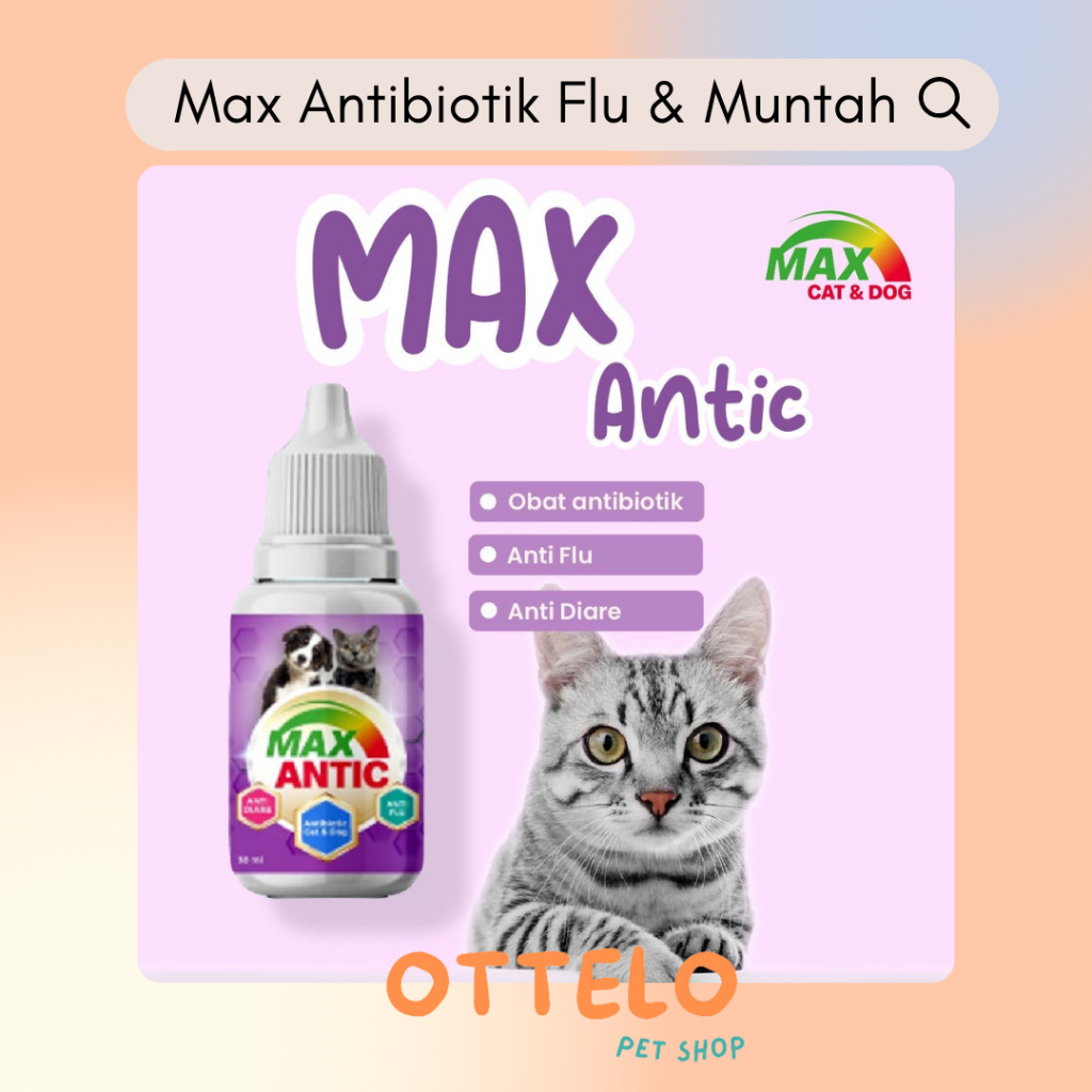 Jual Max Antic Obat Antibiotik Kucing Anjing Obat Infeksi Pencernaan ...