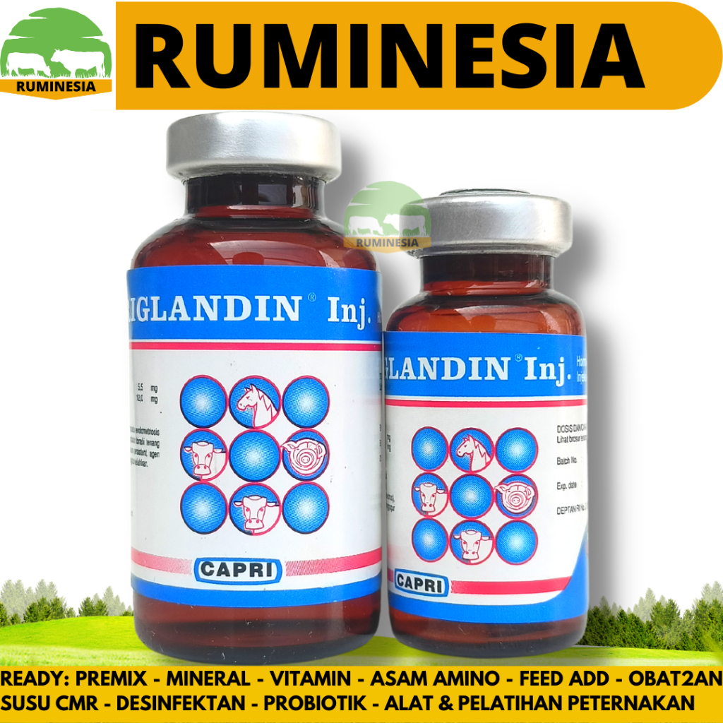 Jual CAPRIGLANDIN INJ 20 ml - Hormon Sinkronisasi Estrus Sapi Kambing ...
