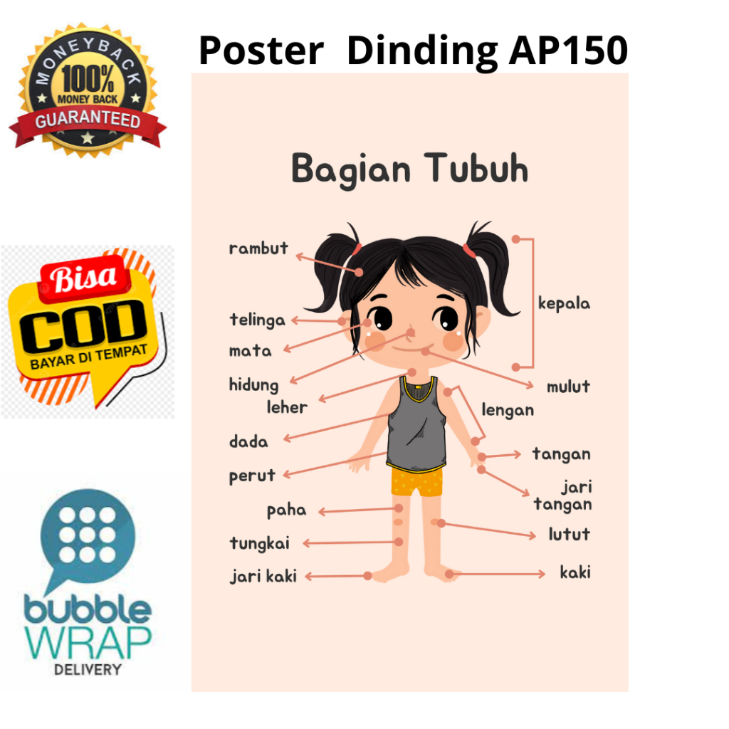 Jual POSTER DINDING GAMBAR BAGIAN TUBUH WANITA BAHAN AP150 | Shopee Indonesia
