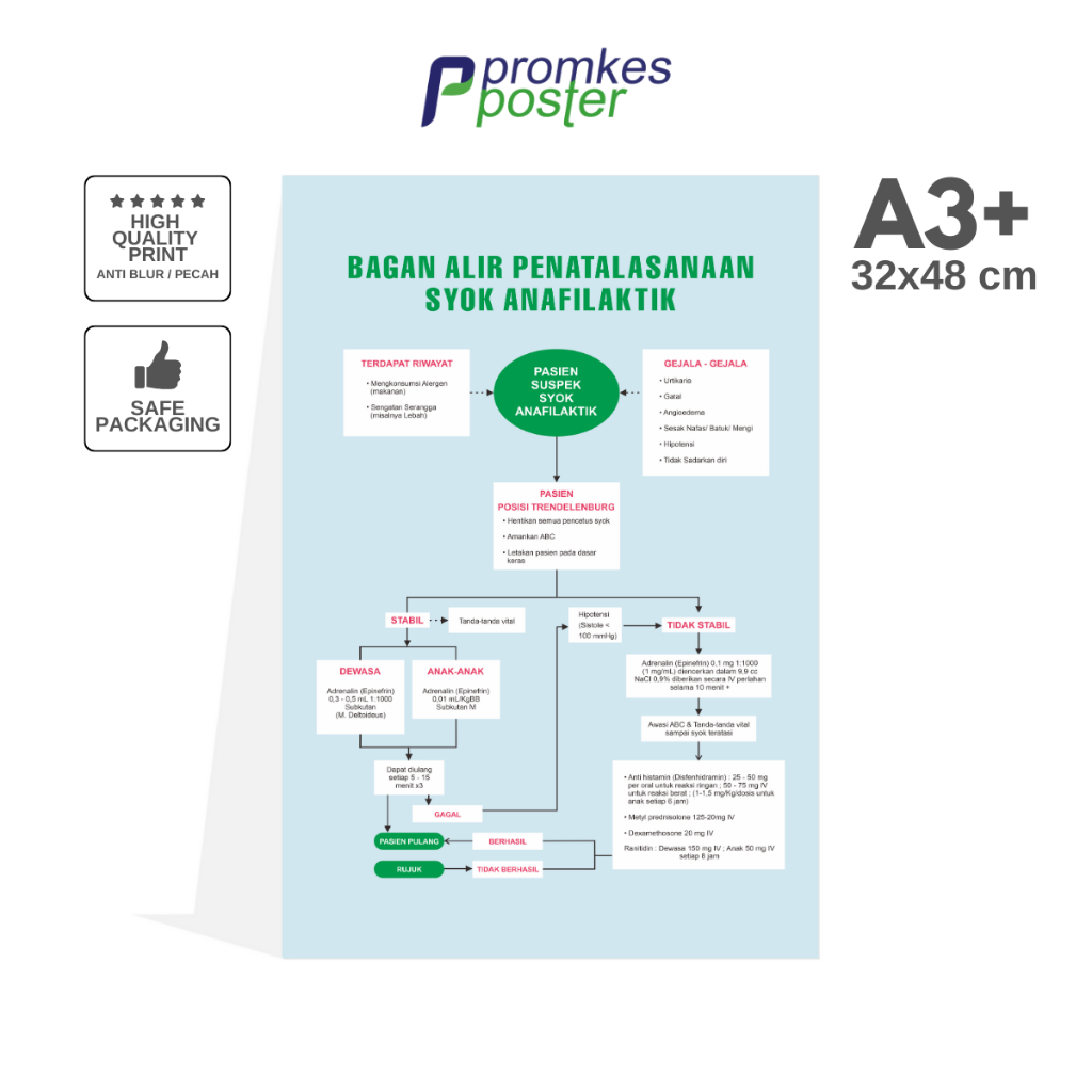 Jual Poster Kesehatan Syok Anafilaktik | Shopee Indonesia