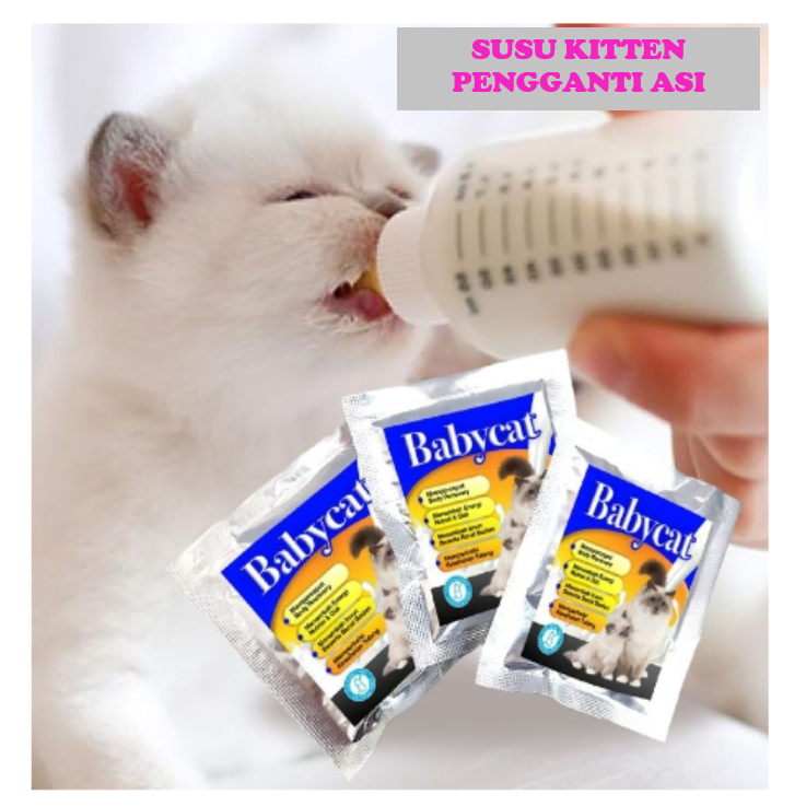 Jual Susu Kitten Pengganti Asi Induk / Susu Baby Kucing / Susu ...