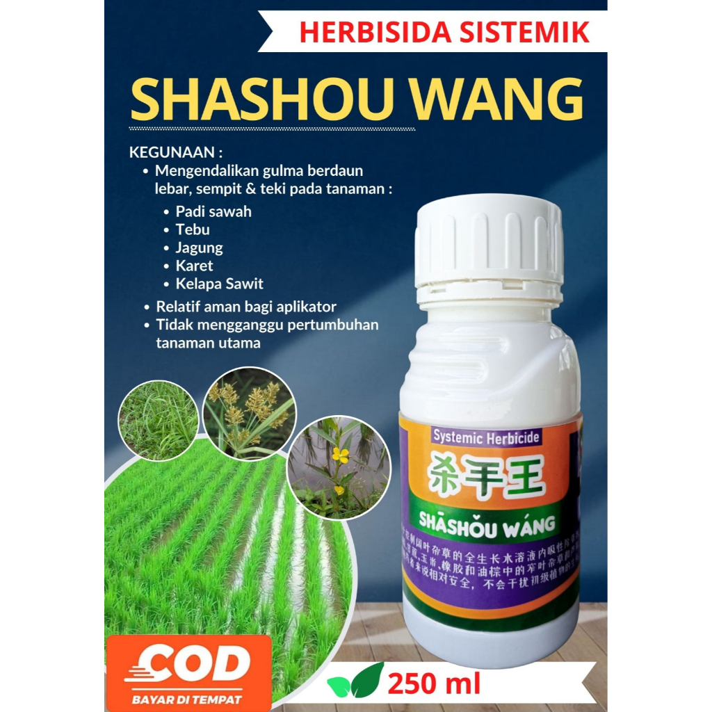 Jual Shashou Wang shashowang Herbisida Sistemik Selektif Pembasmi ...
