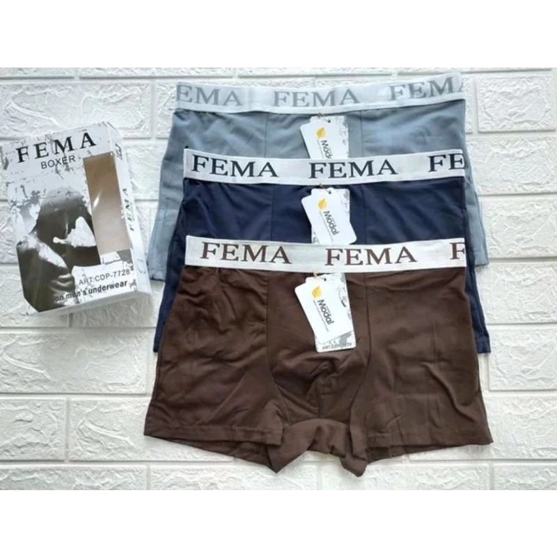Jual 3 PCS Celana Dalam Pria Dewasa Boxer / Segiempat FEMA | Shopee ...