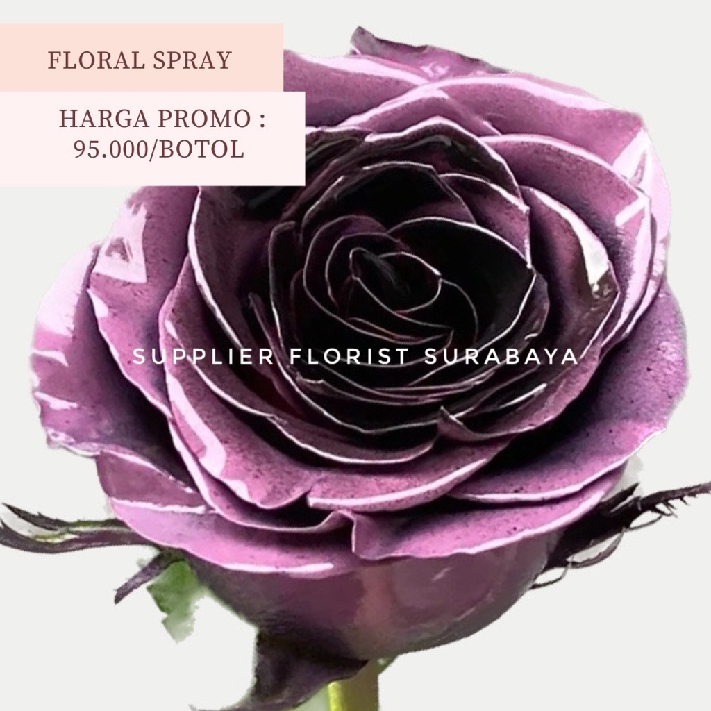 Jual FLORAL COLOR SPRAY CEPAT KERING PENGUBAH WARNA BUNGA ASLI ...