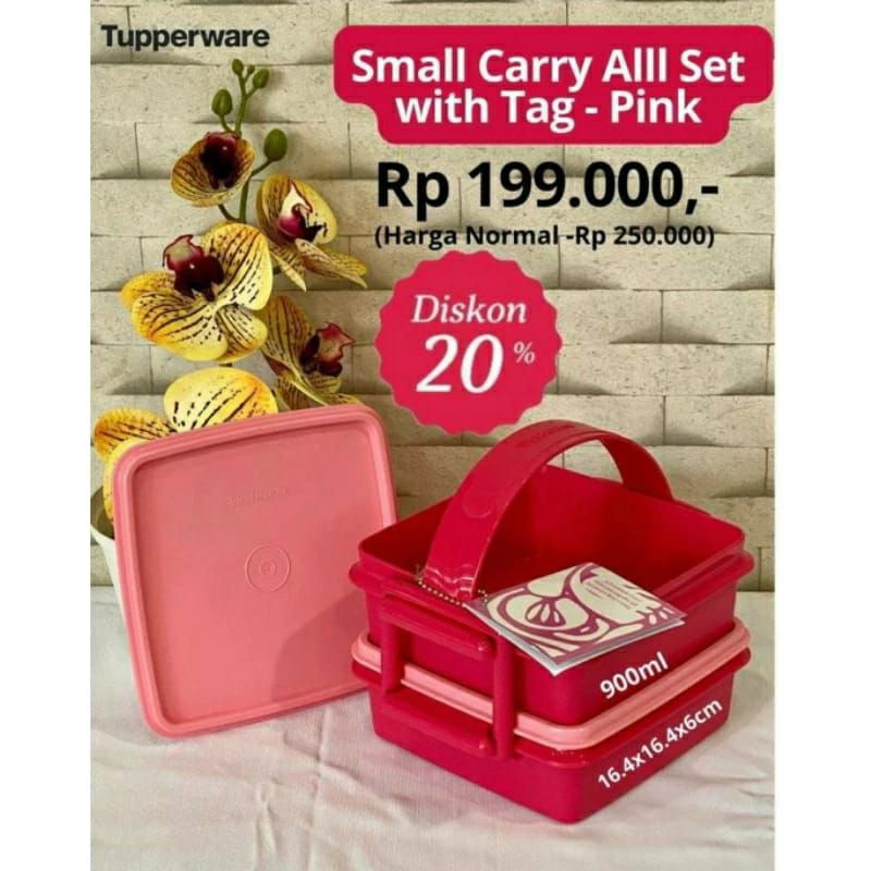 Jual small carry all set tupperware | Shopee Indonesia