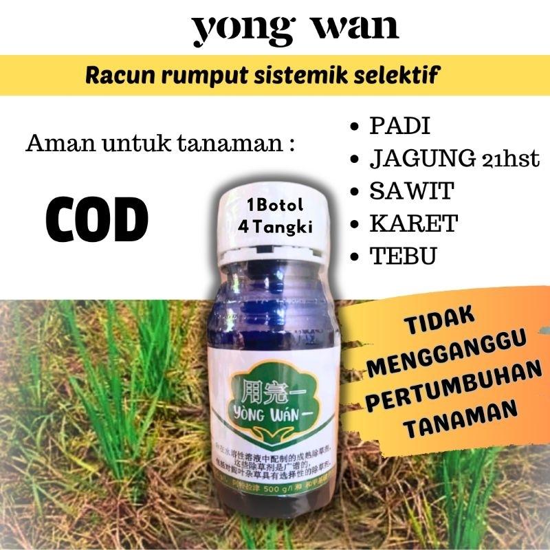 Jual YONGWAN / YONG WAN HERBISIDA RACUN RUMPUT GULMA AMAN PADA TANAMAN ...