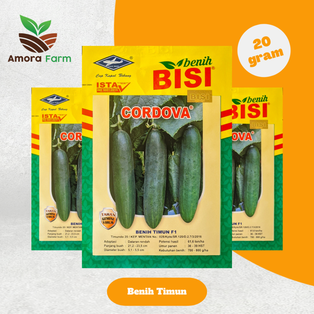 Jual Benih Timun Hibrida F1 Cordova Kemasan 20Gram Cap Kapal Terbang ...