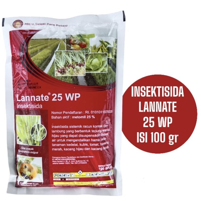 Jual INSEKTISIDA LANNATE 25 WP BASMI HAMA ULAT DAUN ISI 100gr | Shopee ...