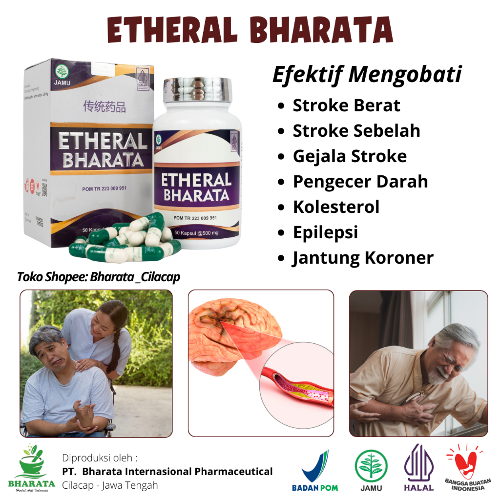 Jual Obat Stroke Ringan dan Berat Stroke Sebelah ETHERAL BHARATA ...