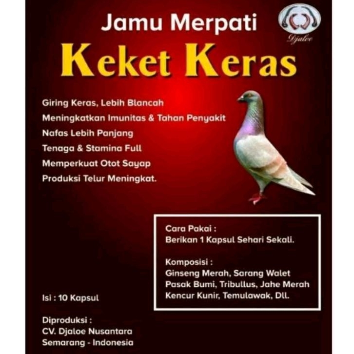 Jual JAMU MERPATI DJALOE KEKET KERAS SACHET MERPATI KEKET PERNAFASAN ...