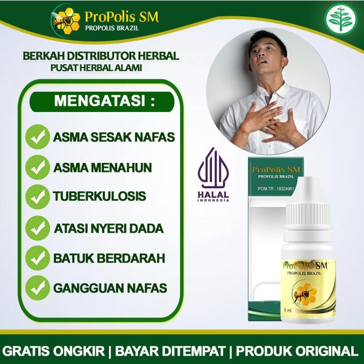 Jual Propolis SM Brazil Original - Asli Brazilian Propolis Non Alkohol ...
