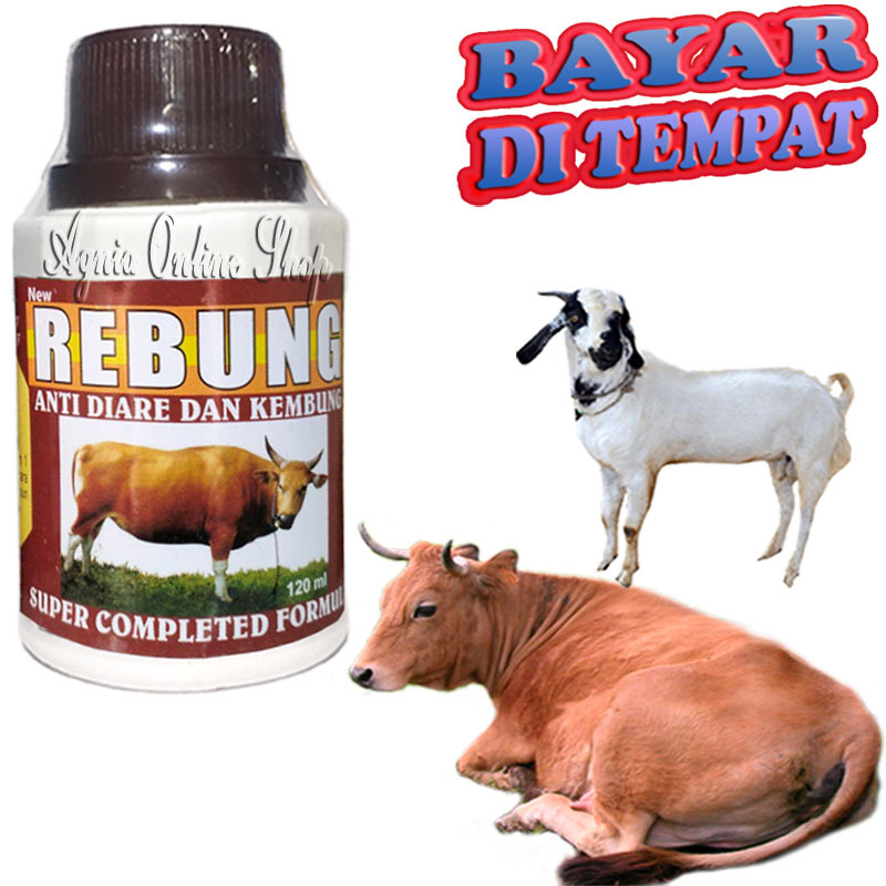 Jual Obat Mencret Sapi kambing REBUNG Sakit Diare Kembung Pencernaan ...