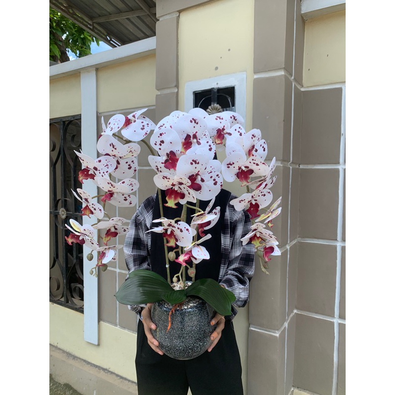 Jual ANGGREK LATEK JUMBO 3 CABANG / VAS BUNGA AESTHETIC/ RANGKAIAN ...