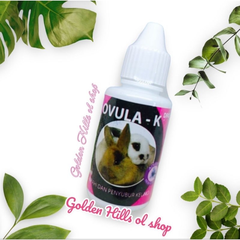Jual Ovula K 30 ml , Obat birahi kelinci | Shopee Indonesia