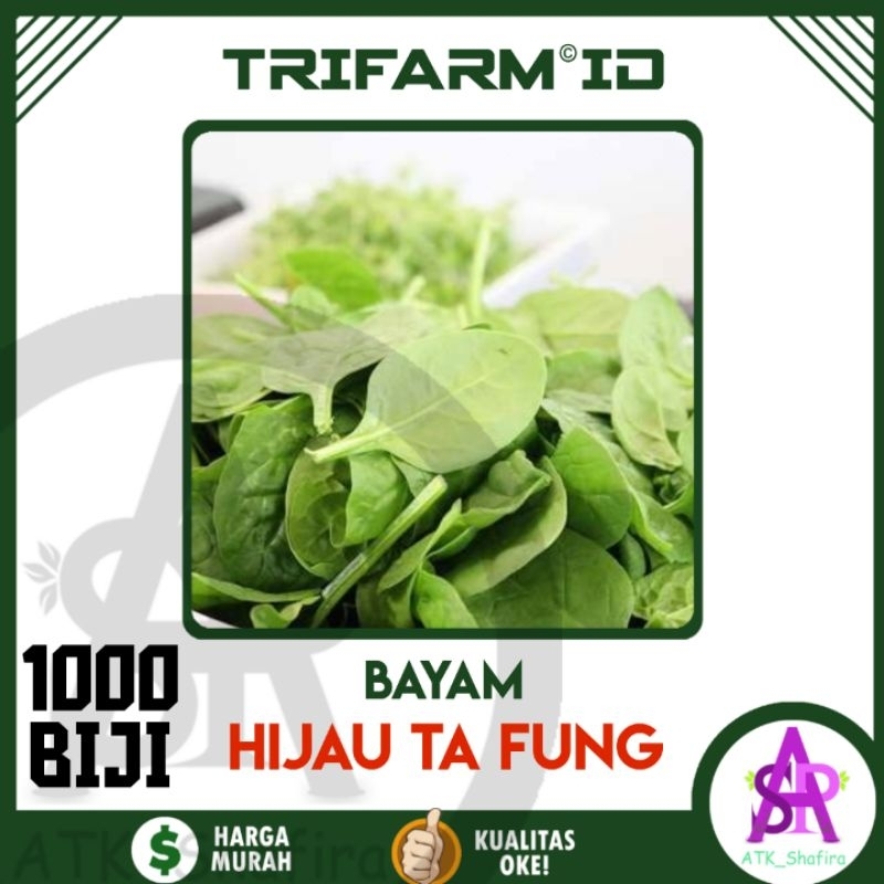 Jual TRIFARM 1000 Biji Benih Bibit Bayam Hijau Kemasan Ziplock | Shopee Indonesia
