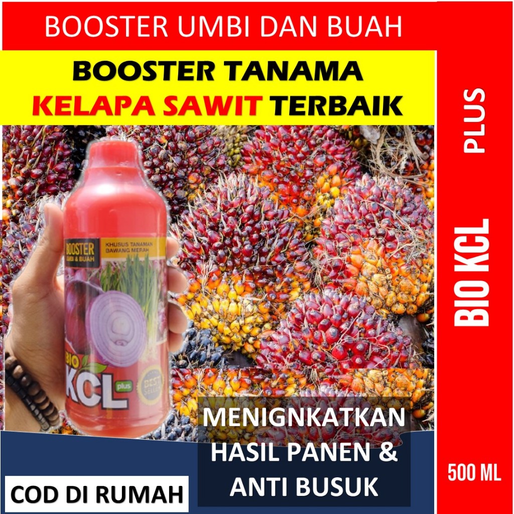 Jual REKOMENDED BIO KCL PLUS 500 ML Pelebat Kelapa Sawit Besar dan Berat - Pupuk Pembesar Kelapa ...