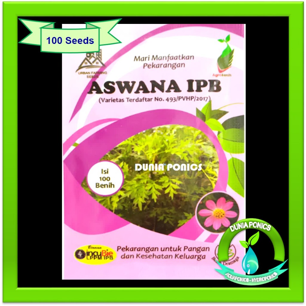 Jual Benih Bibit Kenikir Cosmos Bunga Pink ASWANA IPB Seeds Original ...