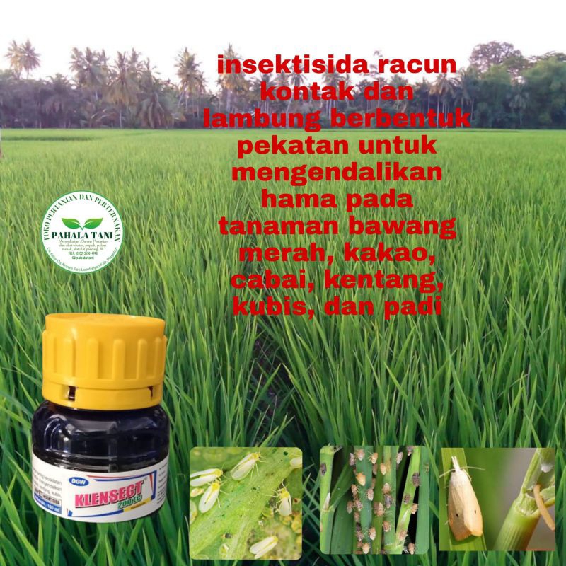 Jual KLENSECT 200 EC/insektisida/hama kutudaun/hama kaper/walangsangit ...