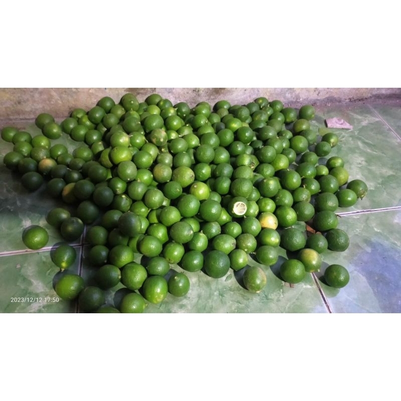 Jual Jeruk nipis/pecel fres langsung petik 1kg | Shopee Indonesia