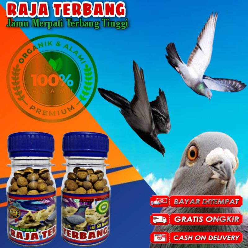 Jual RAJA TERBANG TINGGI 50 BUTIR jamu liur walet Raja Doping Merpati ...
