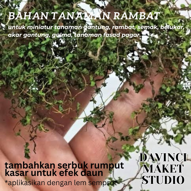Jual Serat Akar Angin Bahan Tanaman Rambat 10gr Miniatur Maket Diorama ...