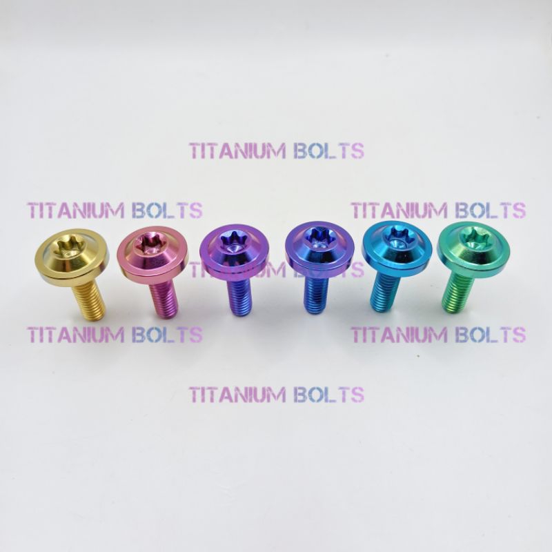 Jual Baut Titanium Bolts GR5 M6X10 M6X15 Baut Titanium Payung Original | Shopee Indonesia