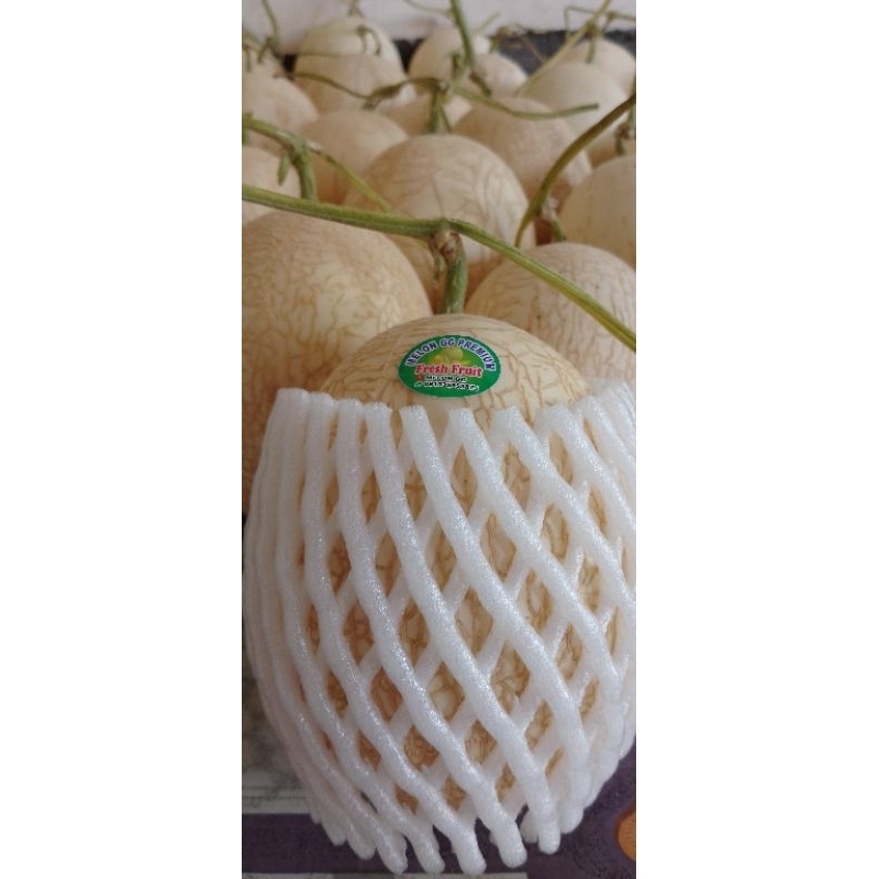 Jual Buah Melon SWEETNET ,Golden Royal fresh,Honey Royal Premium ...