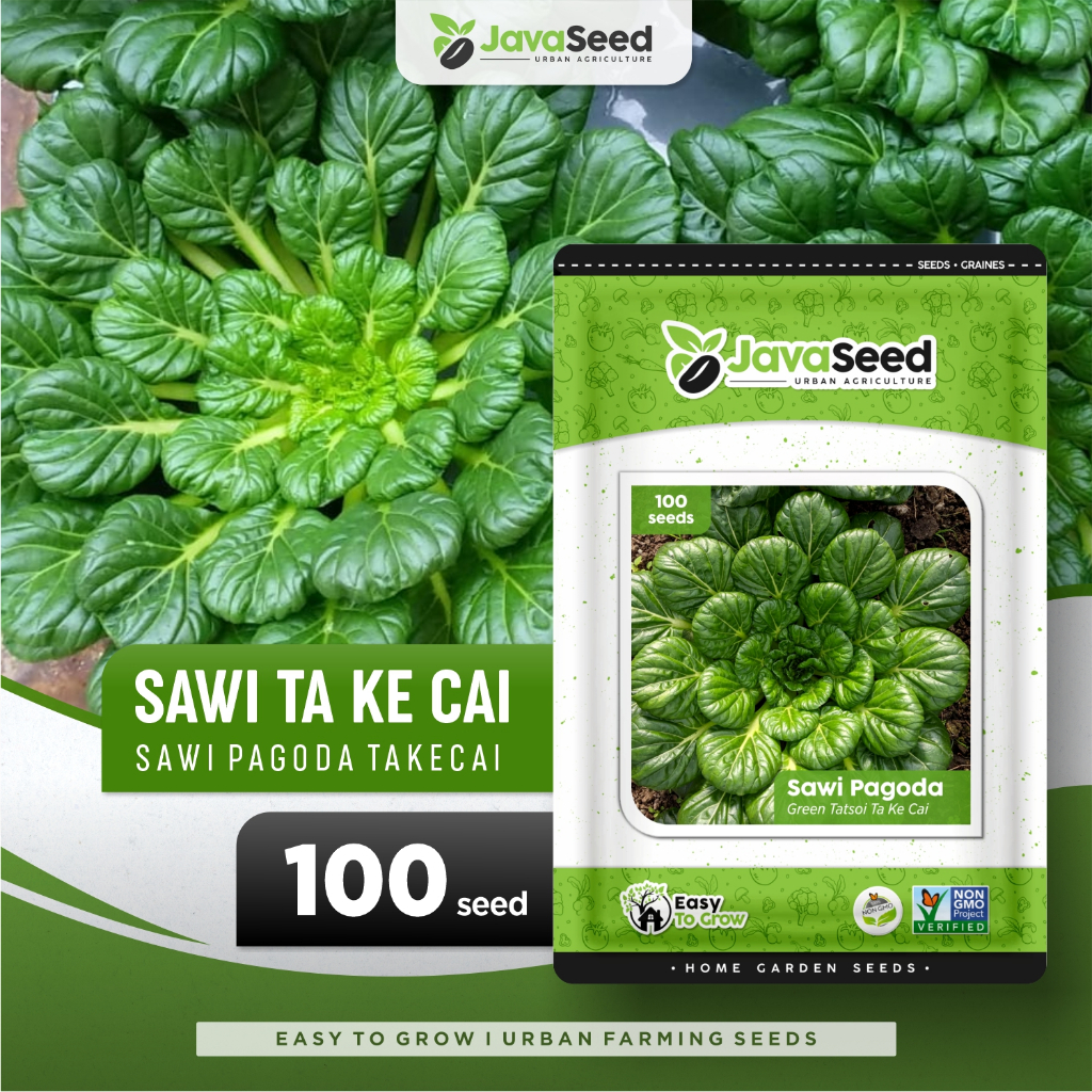 Jual JAVASEED - Benih Sawi Pagoda Hijau Tatsoi Green Ta Ke Cai 100 Benih | Shopee Indonesia