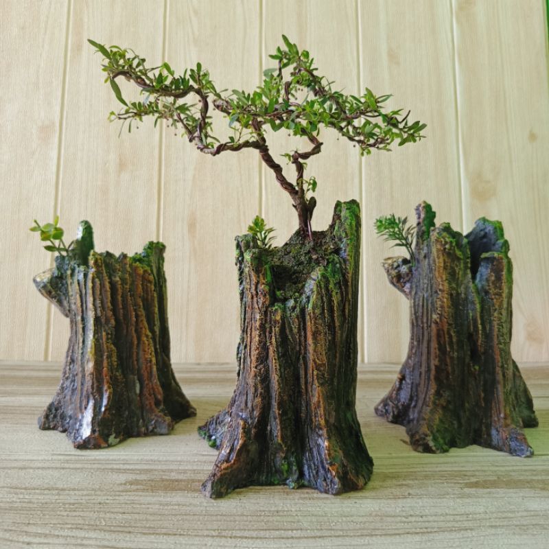 Jual POT Bentuk Pohon hand made/untuk bonsai / tanaman micro | Shopee ...