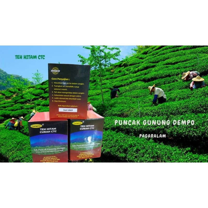 Jual TEH HITAM CURAH CTC TEH GUNUNG DEMPO | Shopee Indonesia