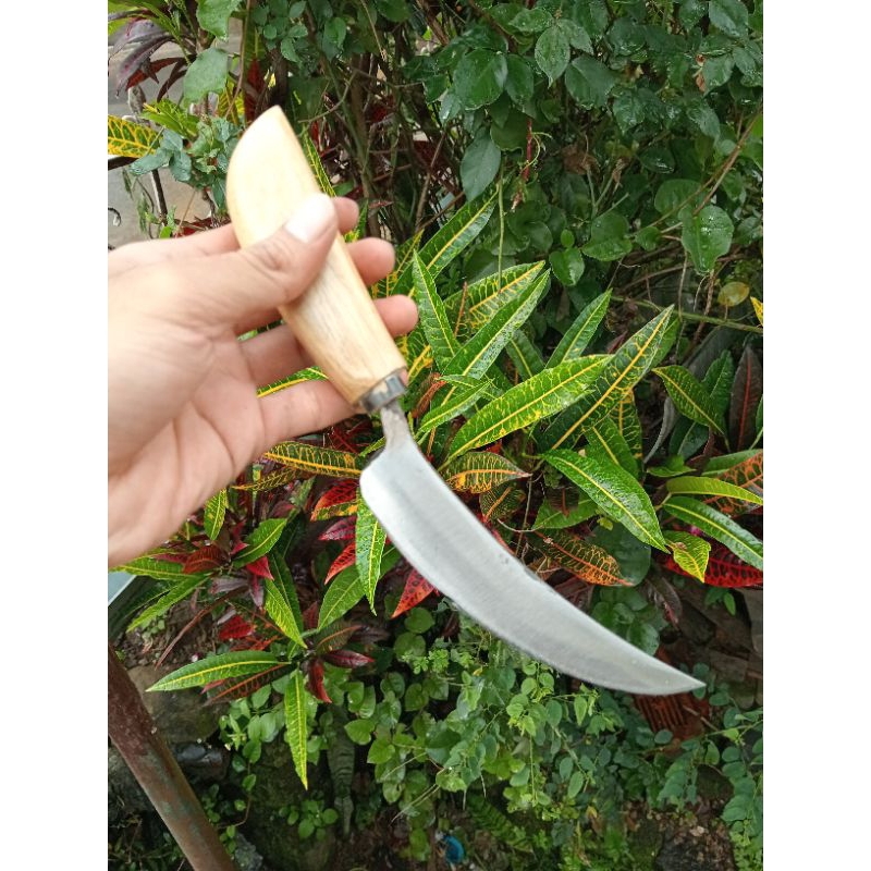 Jual PISAU RAUT/ PISAU UKIR/ PISAU SESET | Shopee Indonesia