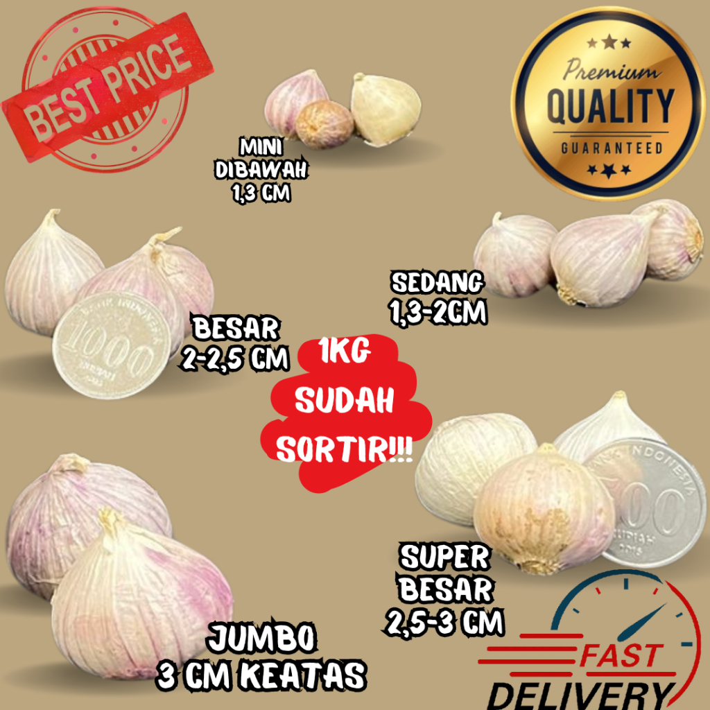 Jual Bawang Tunggal Super Fresh Import / Bawang Lanang / Solo Garlic ...