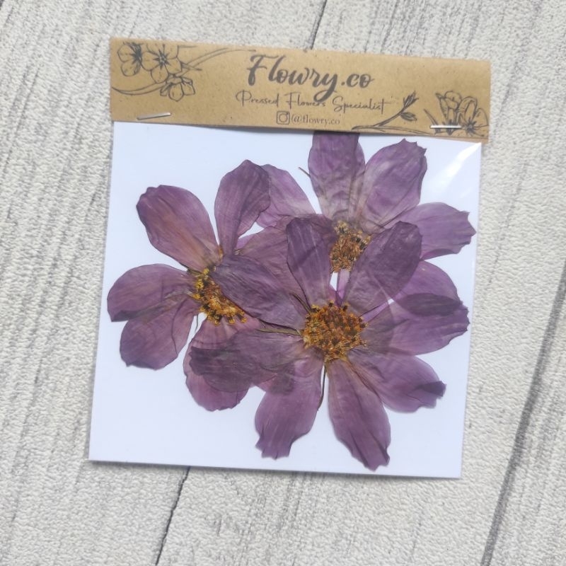 Jual 1 PACK pressed flower PART 1 bunga kering asli bahan diy craft ...
